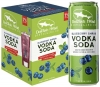 Dogfish - Ready To Drink Blueberry Shrub VodKa Soda 4-pack Cans (4 pack ...